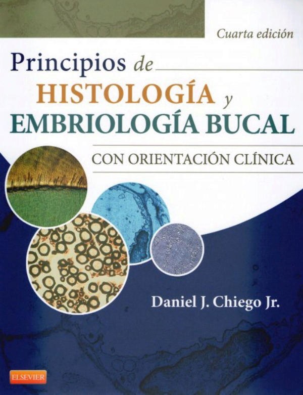 Principios De Histología Y Embriología Bucal 4 Ed Odontología